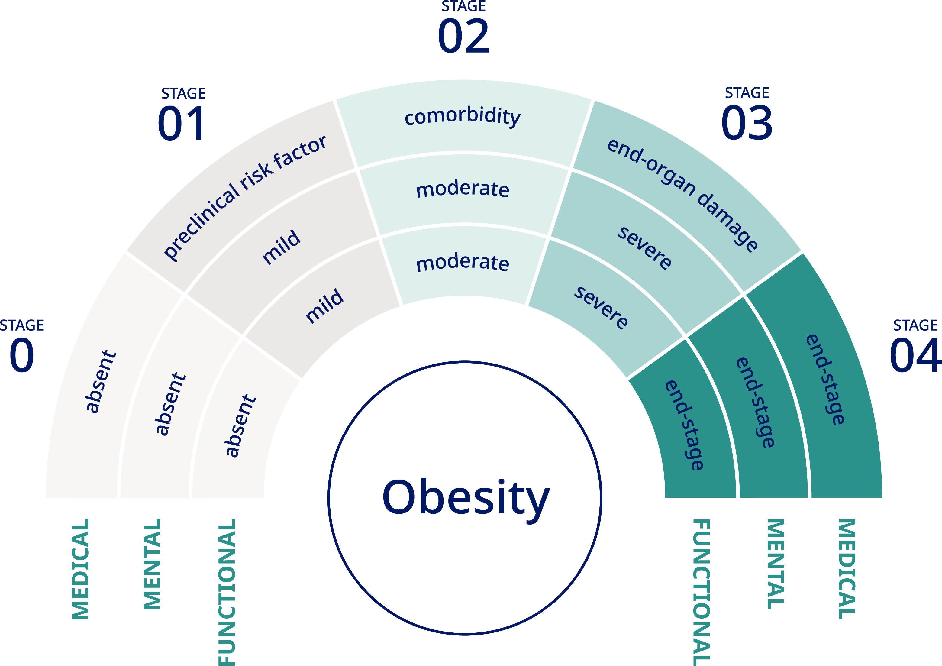 Obesity Measures: Navigating the Maze of Metrics